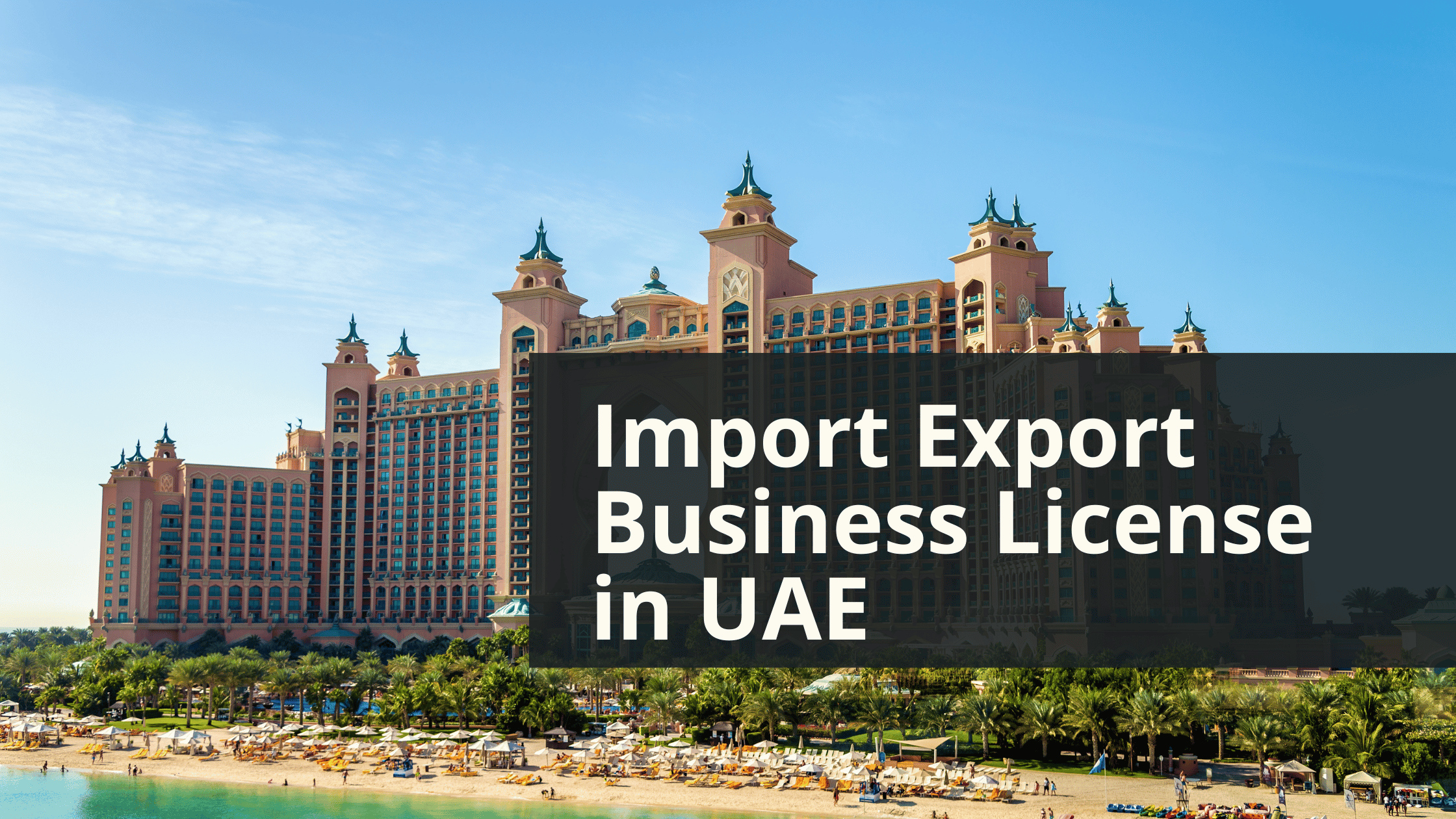 Best Import Export Business License In UAE (2024) - Accelerate Ideas